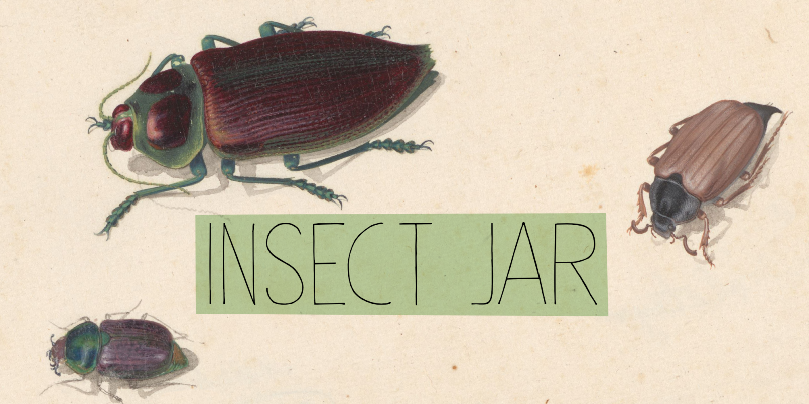 Insect Jar – Kitchen Table Type Foundry